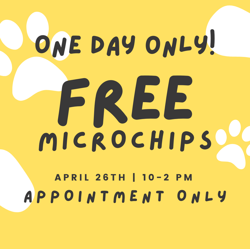 Microchip Clinic